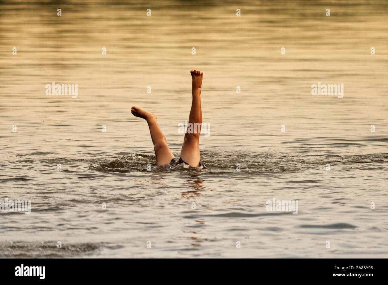 Kid having fun swimming, diving in the lake with only legs poking up ...