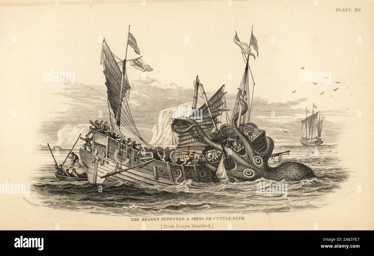 Kraken or giant cuttlefish attacking a fishing boat off the coast of ...