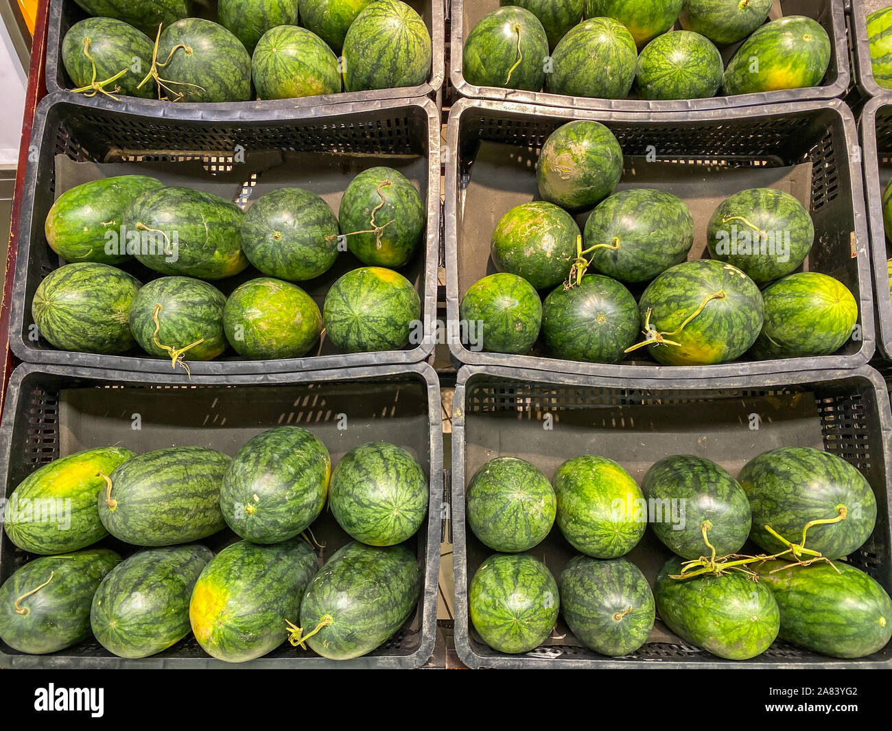 Numerous of watermelons in basket for sale at hypermarket Stock Photo ...