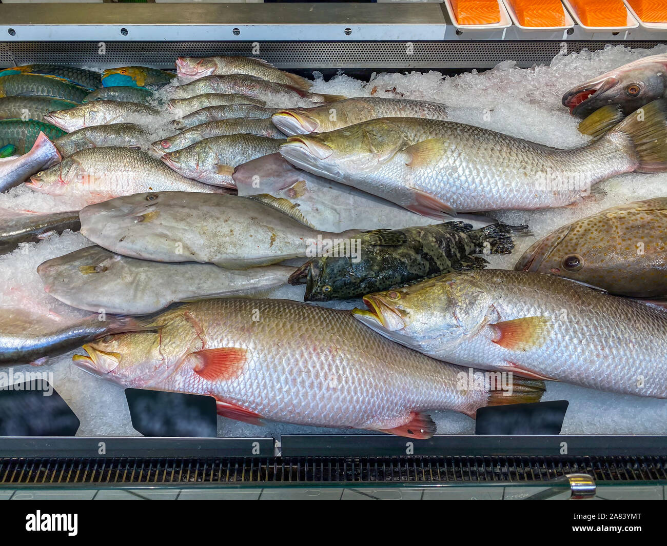 Assortment of frozen fish in seafood market Stock Photo - Alamy