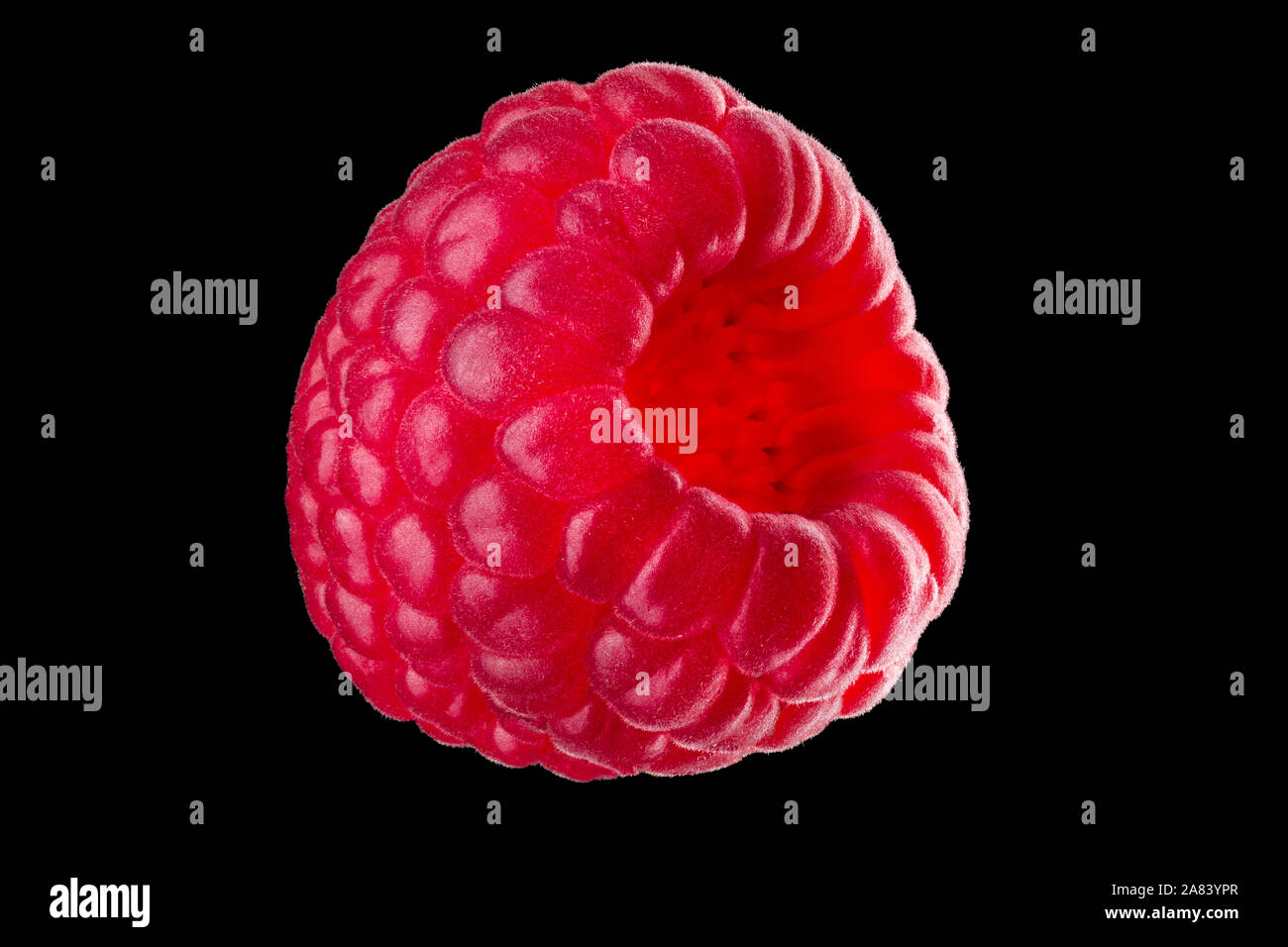 Macro photo of raspberry without leaves isolated on black background ...