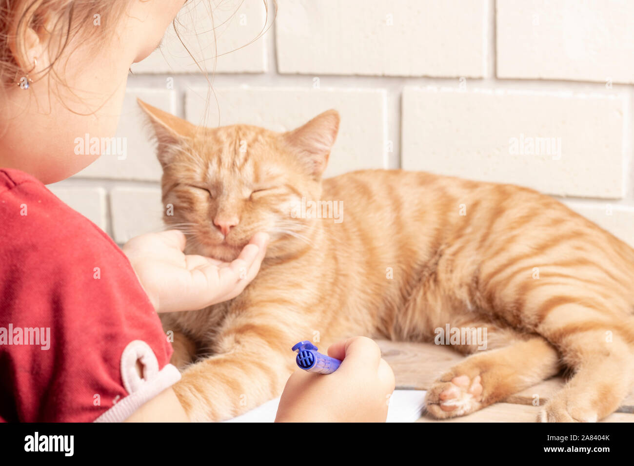 Kid holding cat face and writing homework Stock Photo - Alamy