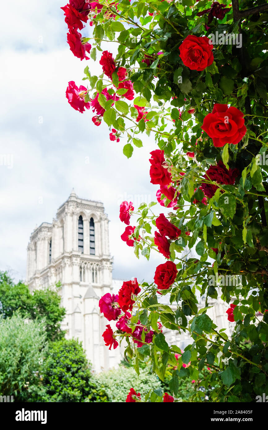 Cathédrale notre dame de paris paris hi-res stock photography and ...