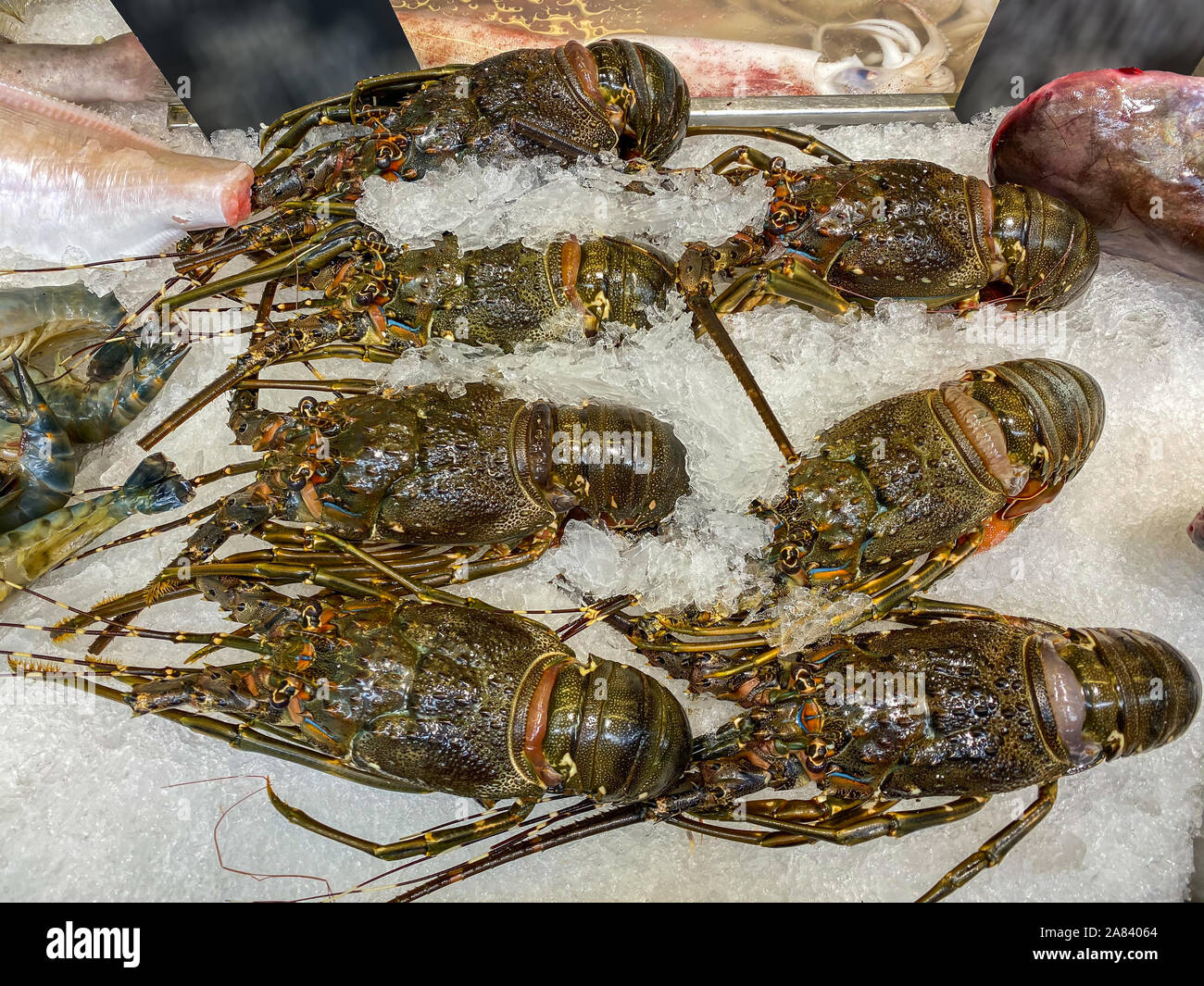 Fresh lobsters frozen on ice in seafood marketplace Stock Photo - Alamy