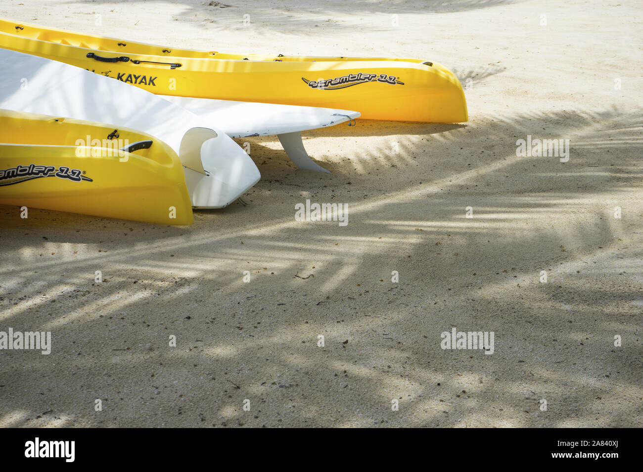 Belize kayak caye hi-res stock photography and images - Alamy