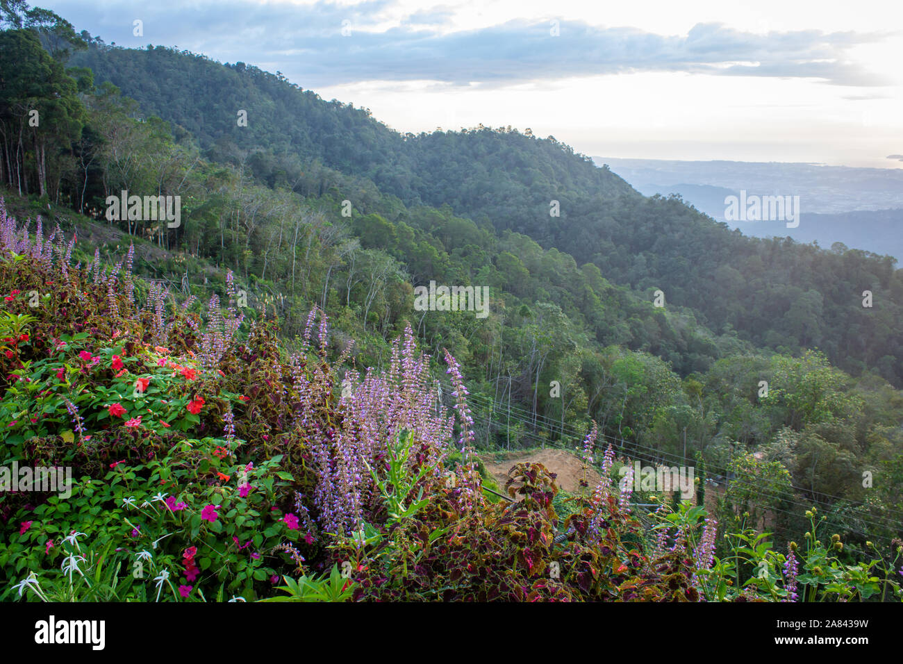Beautiful landscape view of mountains in Kota Kinabalu, Sabah, Malaysia ...