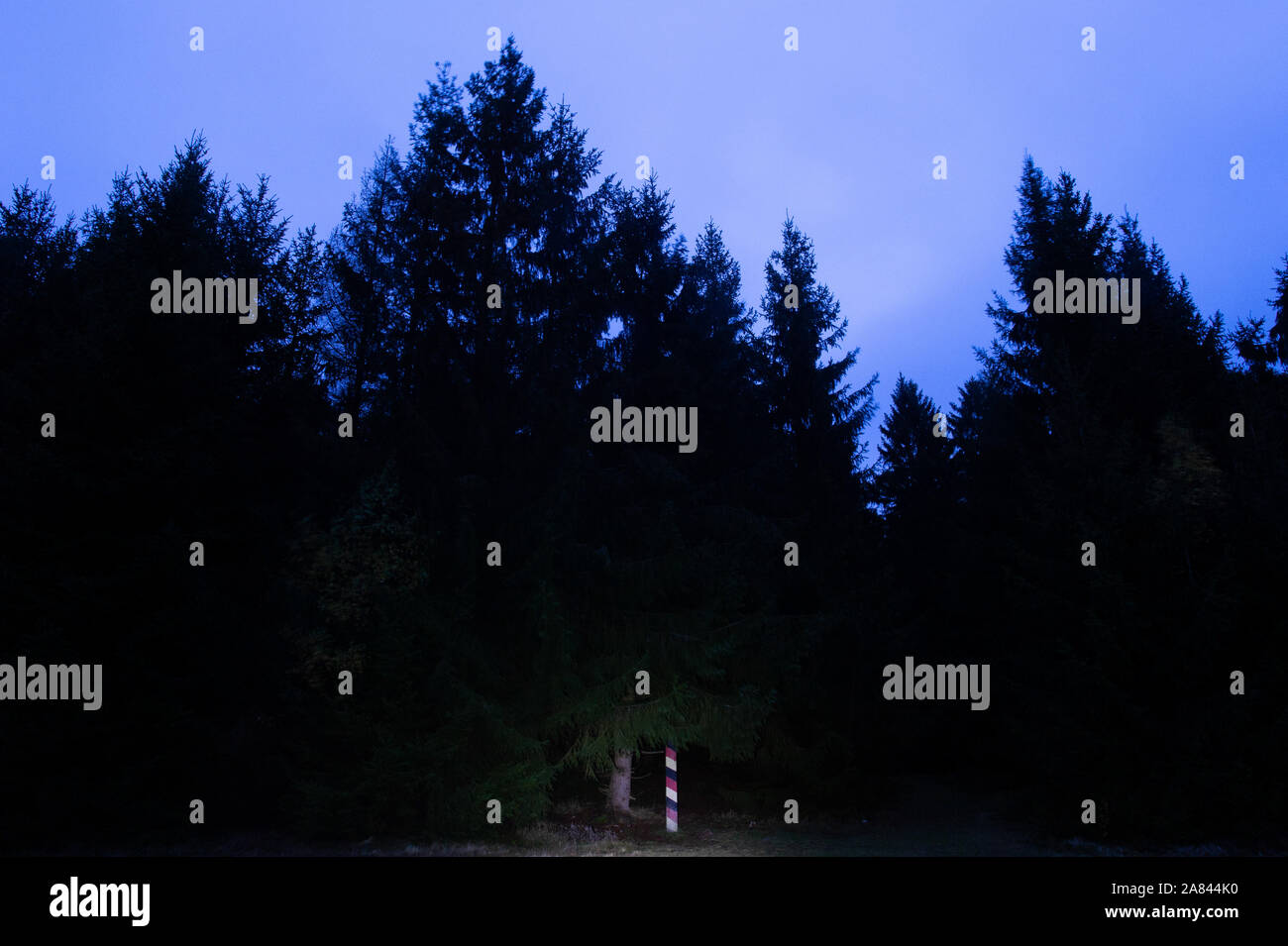 Sorge, Germany. 04th Nov, 2019. A border post stands under dense ...