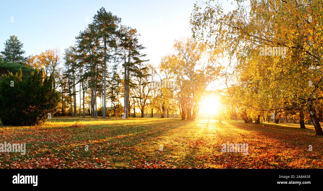 Panorama beautiful fall woods hi-res stock photography and images - Alamy