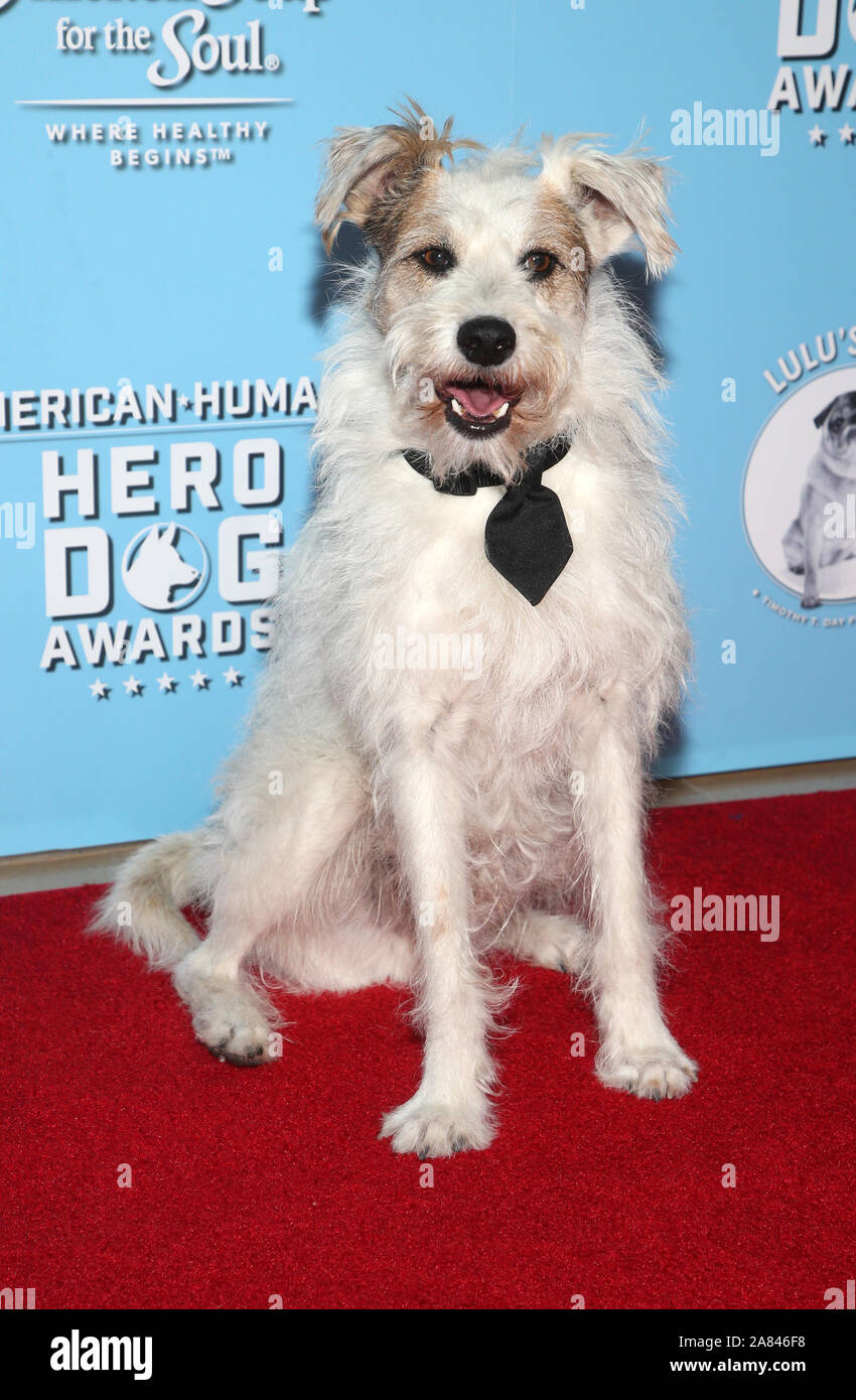 9th Annual American Humane Hero Dog Awards Featuring: Happy Where ...