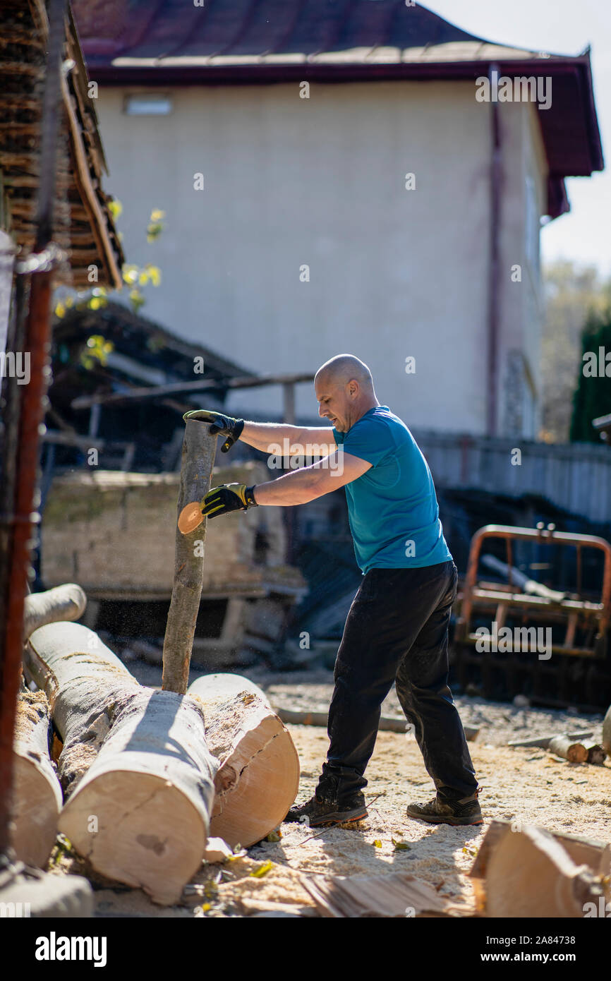 Strong lumberjack carrying a big beech log to split Stock Photo - Alamy