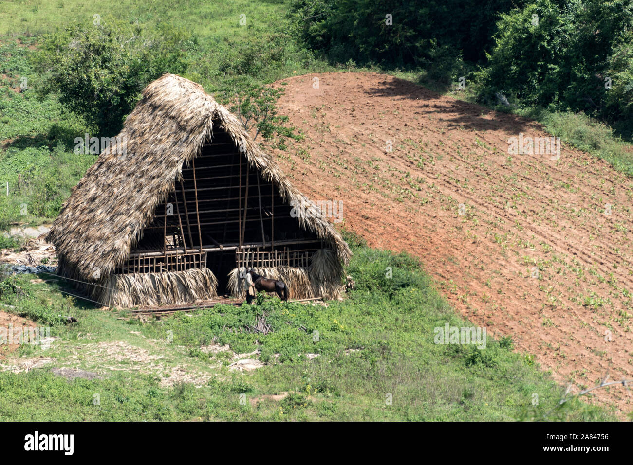Tobacco drying shed hi-res stock photography and images - Alamy