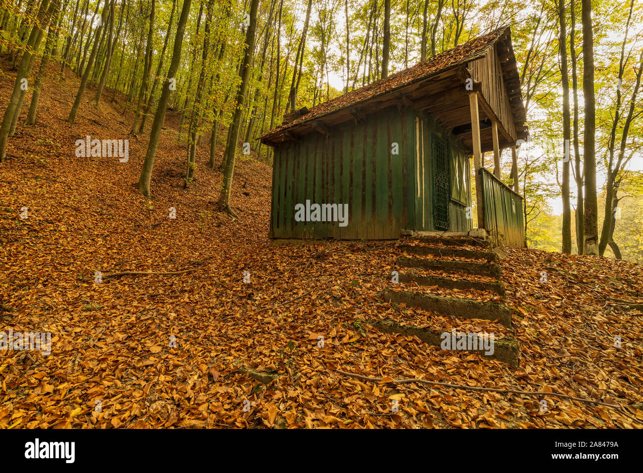 old wooden hut in the autumn forest strewn with leaves Stock Photo - Alamy