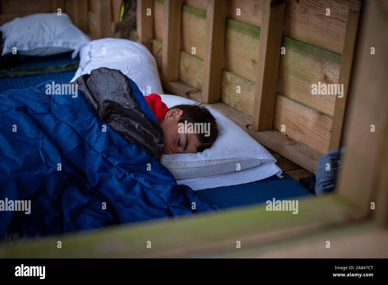 Treehouse uk hi-res stock photography and images - Alamy