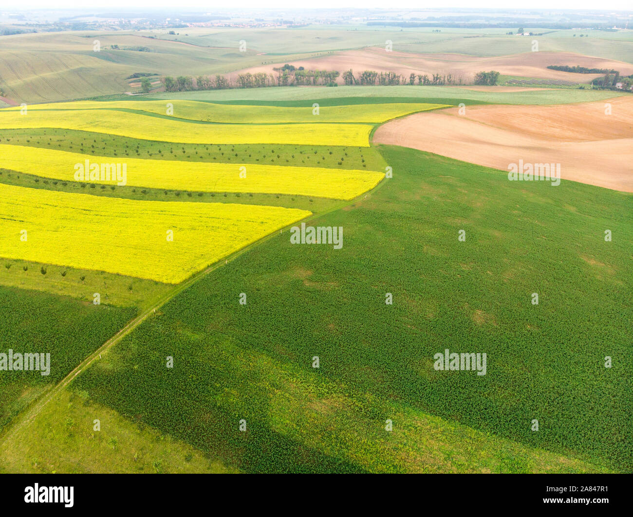 Colorful fields in Moravia Stock Photo - Alamy
