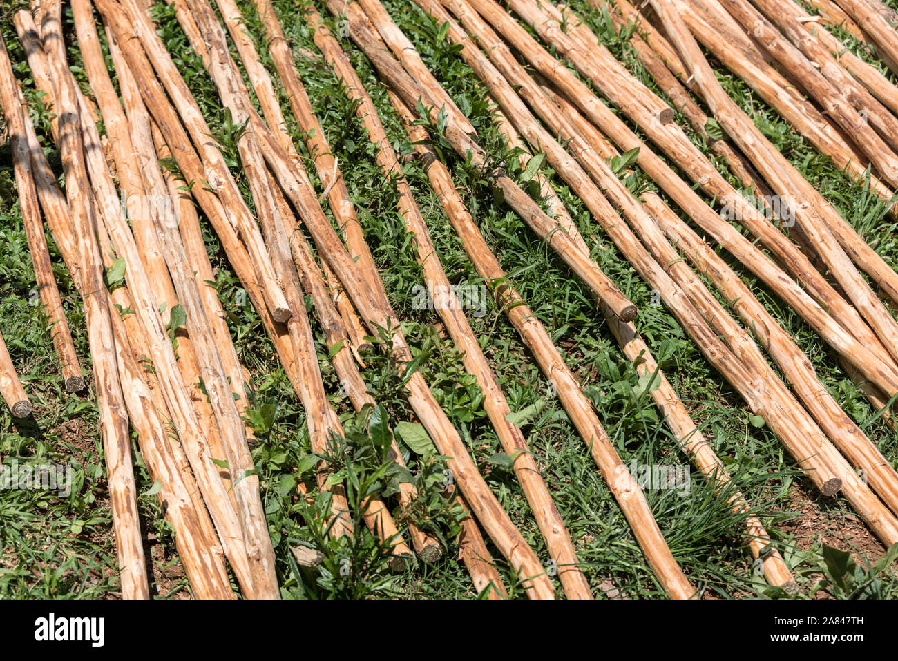 Drying poles hi-res stock photography and images - Alamy