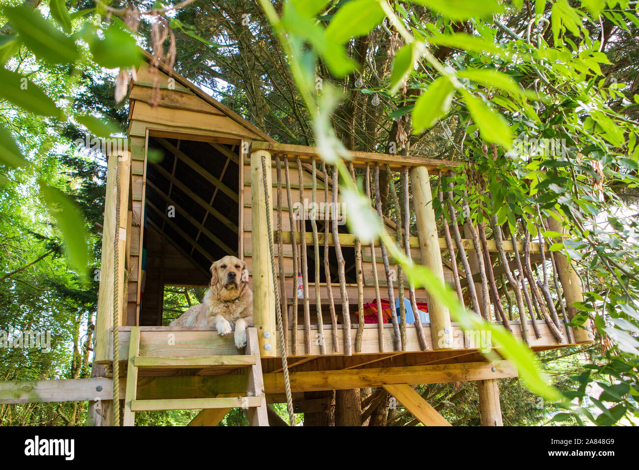 Treehouse uk hi-res stock photography and images - Alamy