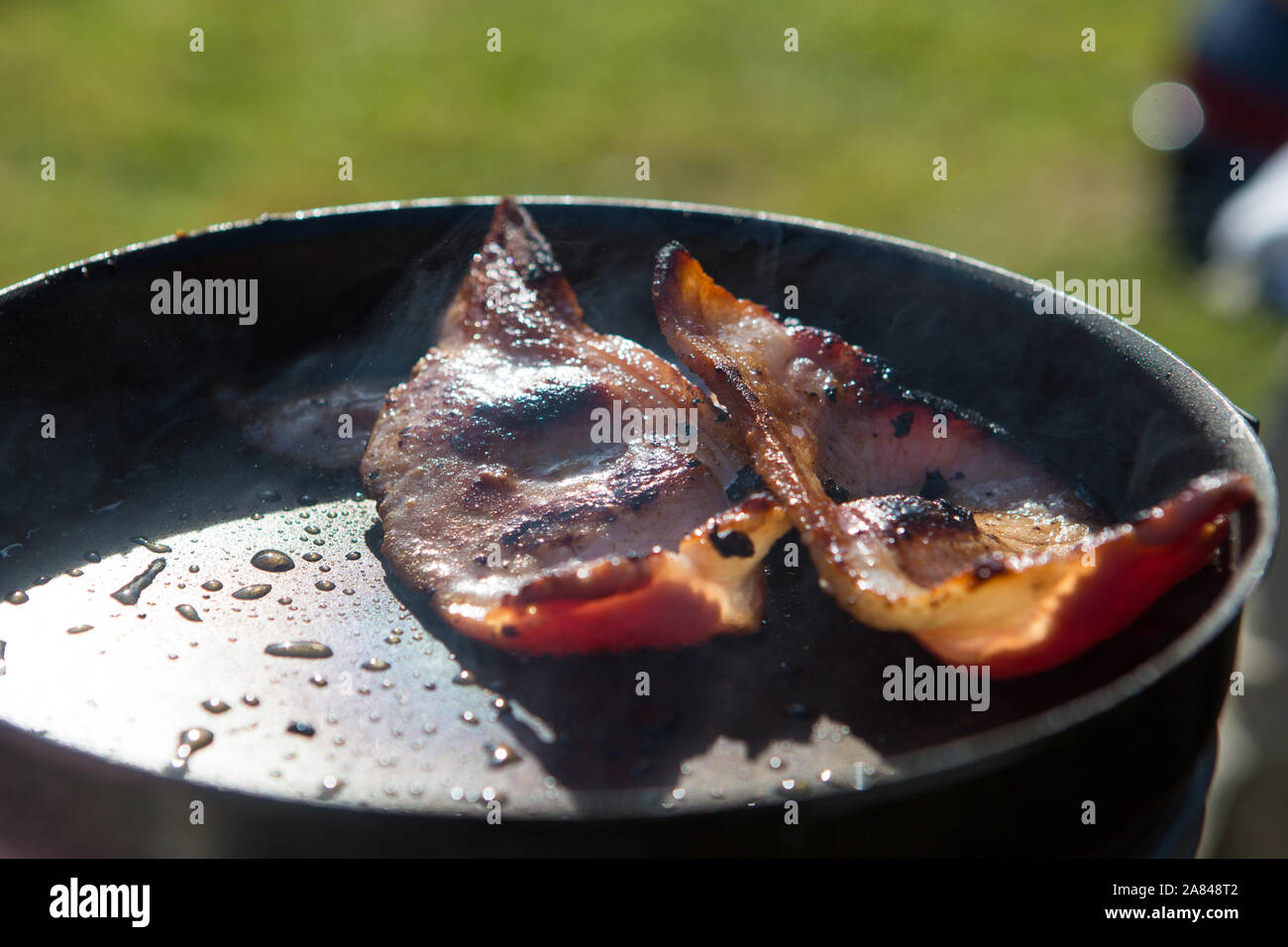 Two rashes of bacon cooking in a frying pan on a camping trip, Devon ...