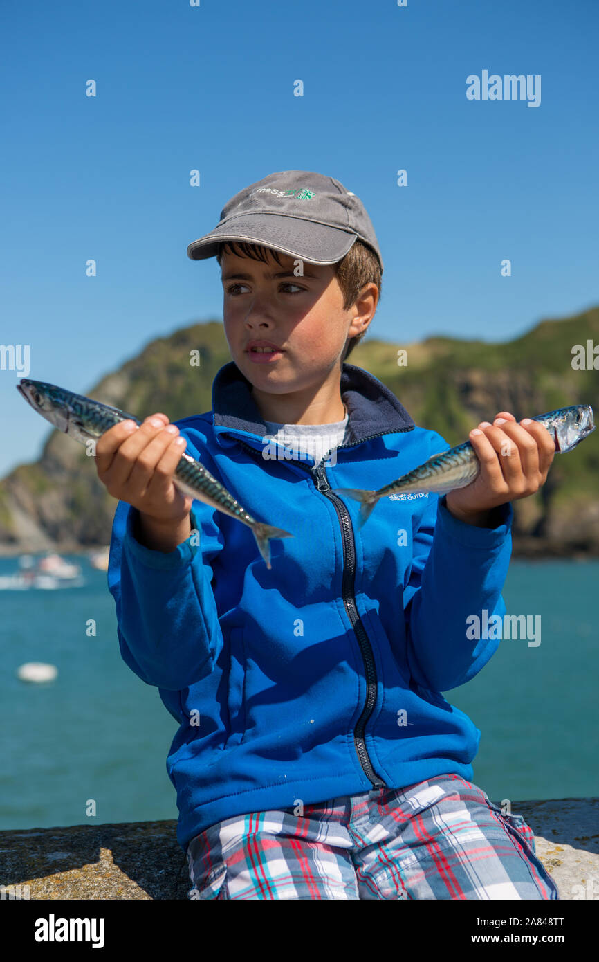 Two Mackerel High Resolution Stock Photography and Images - Alamy