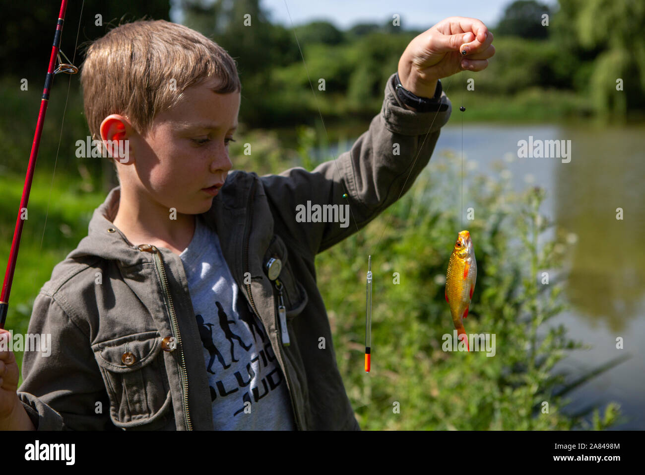 Freshwater fish uk hi-res stock photography and images - Alamy