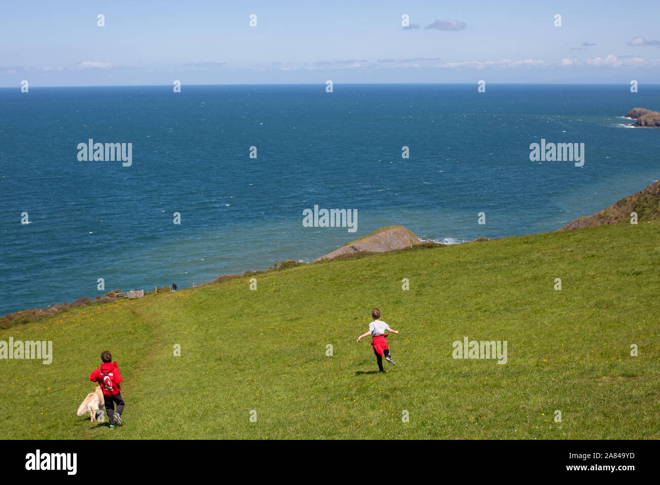 Two boys running through a field on a coastal walk in Wales Stock Photo ...