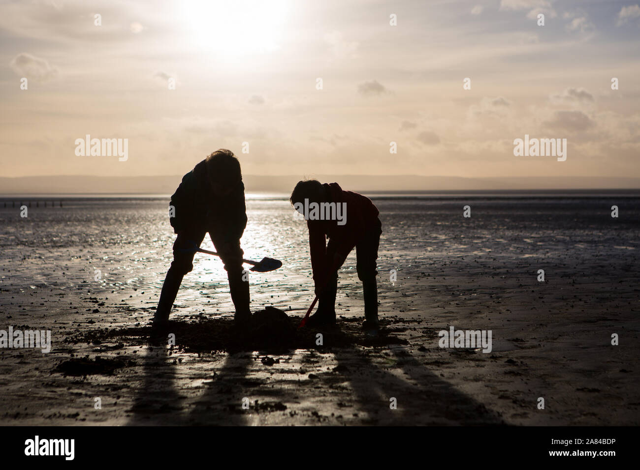 Two boys digging hi-res stock photography and images - Alamy