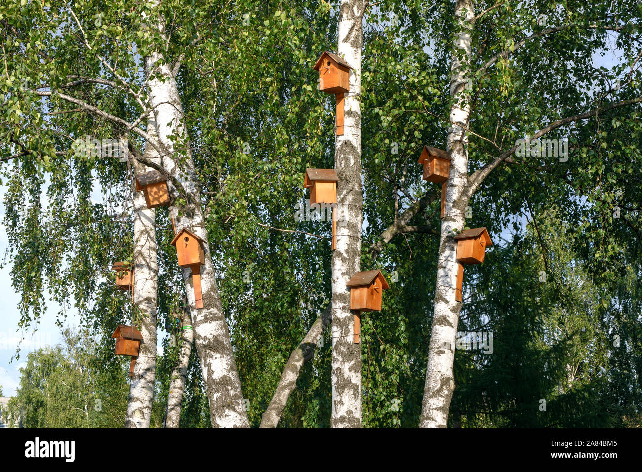 wooden birdhouses on a trees in the forest and park. Shelter for bird ...