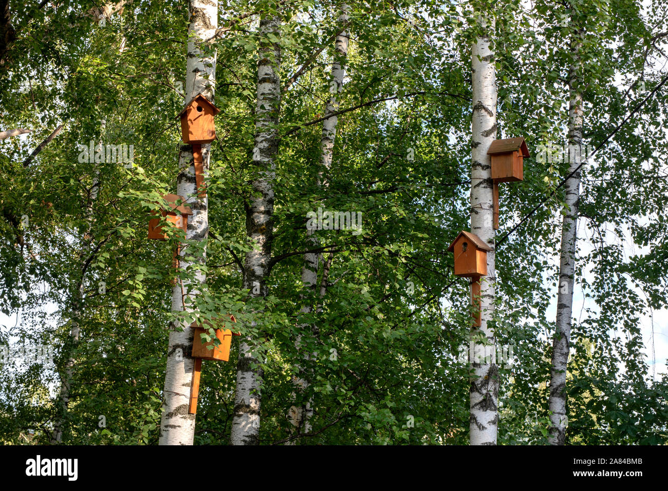 wooden birdhouses on a trees in the forest and park. Shelter for bird ...
