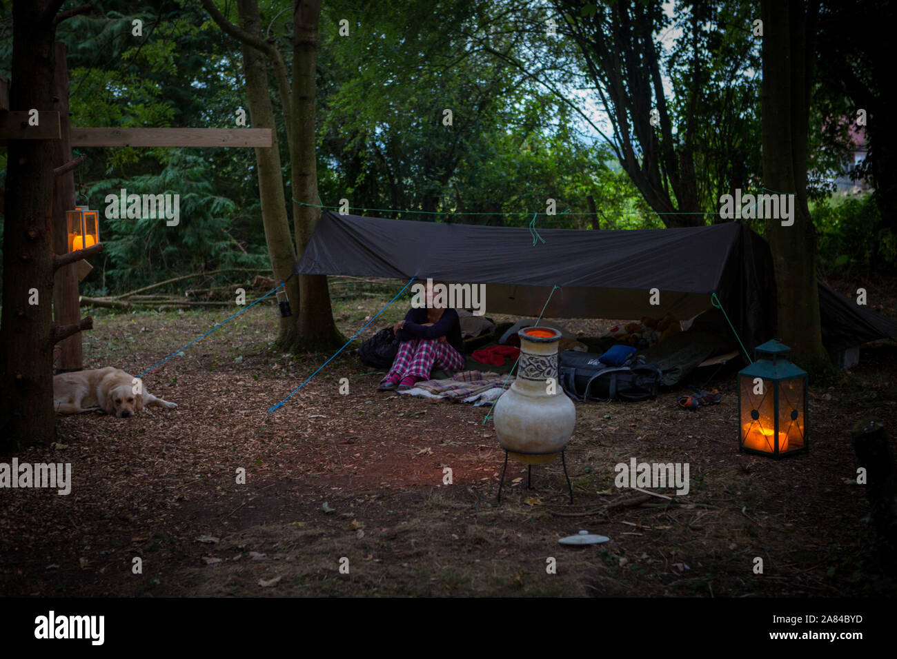 A young lady sitting under a tarp, with golden retriever Stock Photo ...