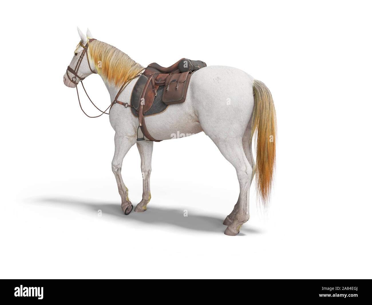 Horse white with bridle isolated 3d render on white background with ...