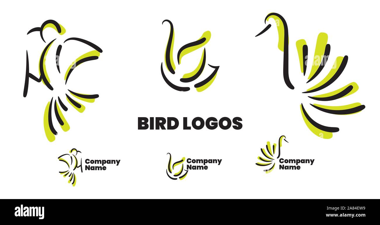 Vector Based Logo