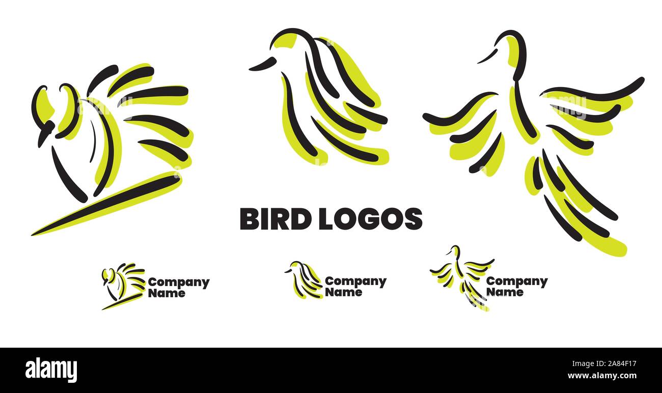 Vector Based Logo