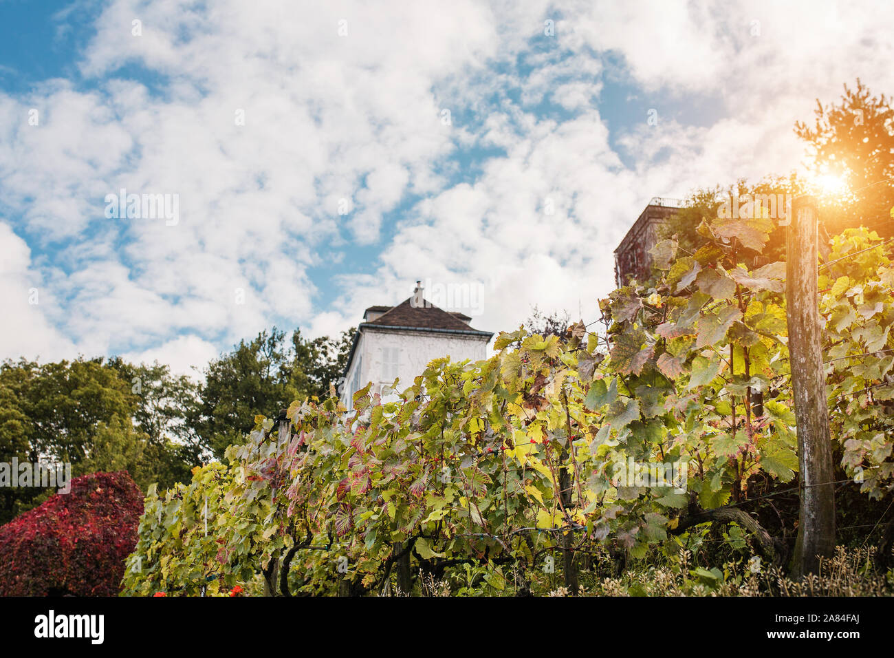 the first rays of the rising morning sun rising over a hill with a ...