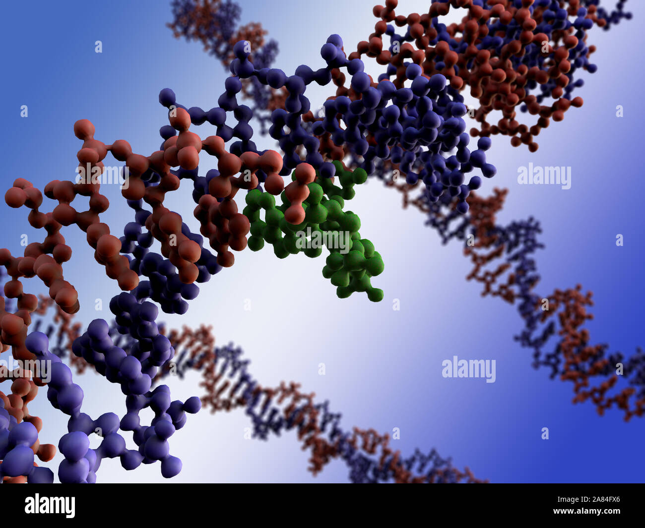 DNA close-up, DNA Molecule Model, DNA Strands, DNA animation Stock ...