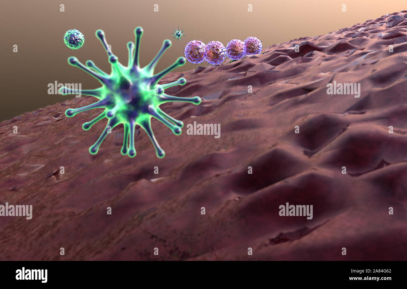 T lymphocytes hi-res stock photography and images - Alamy