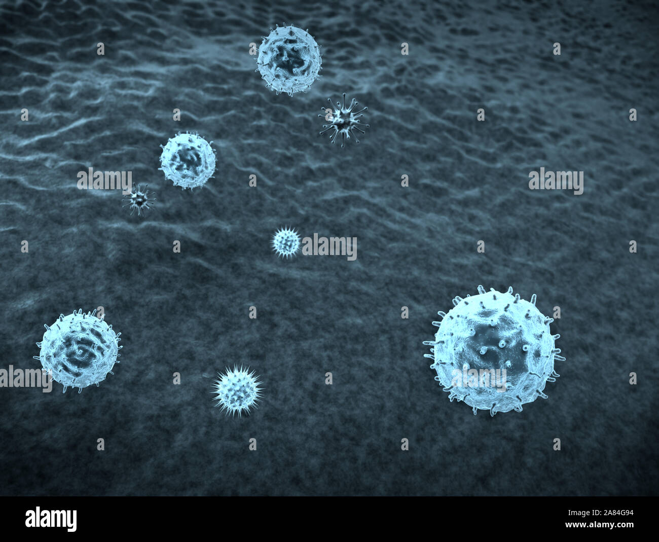 3d rendered of leukocytes and virus, T-lymphocytes attack the viruses ...