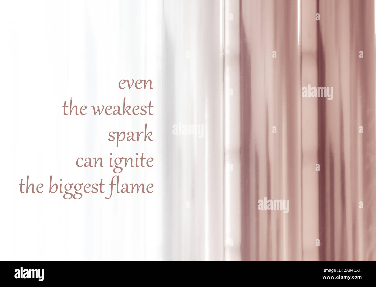 Elegant striped chocolate background pattern fading into white space ...