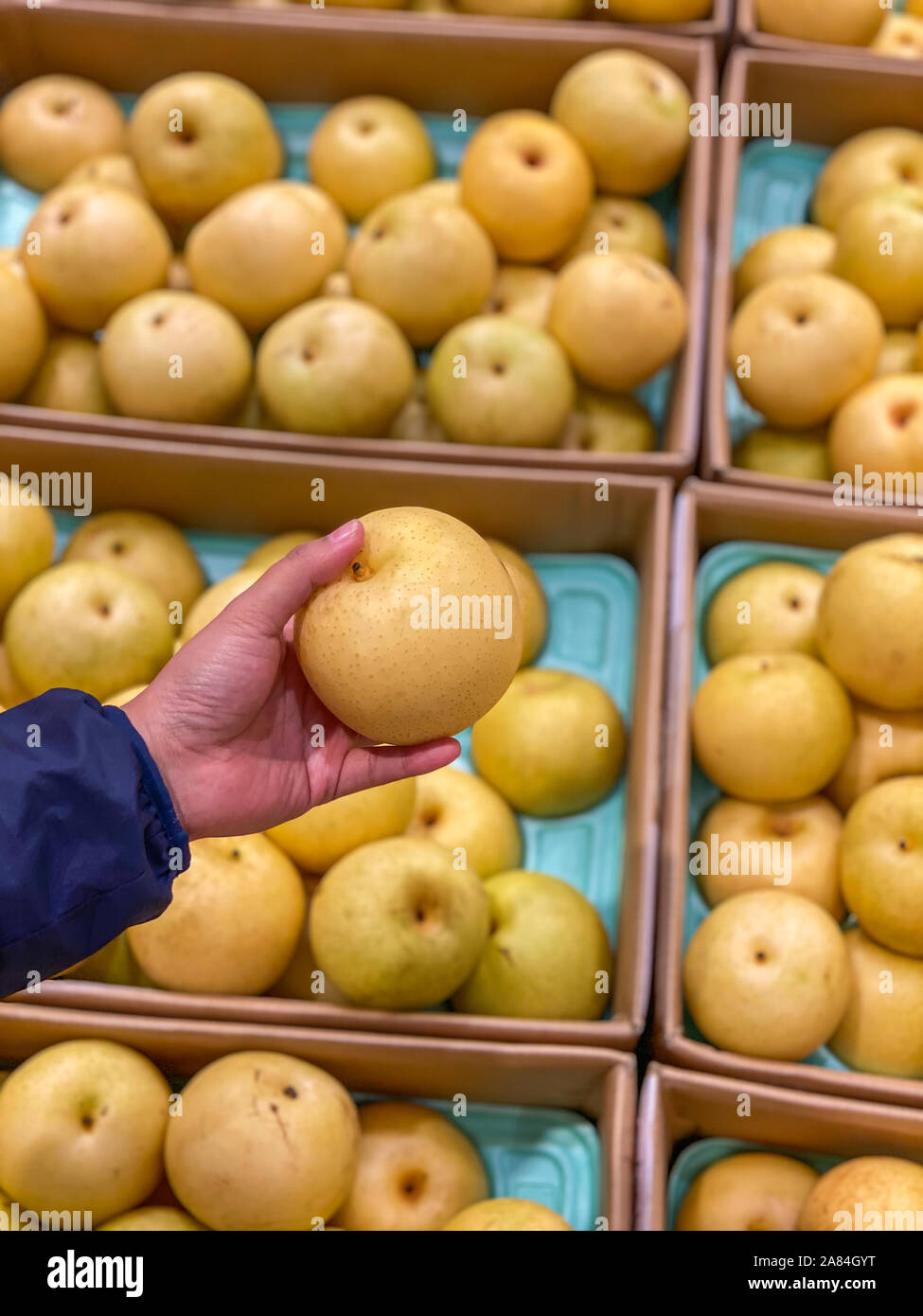 Female hand holding pears hi-res stock photography and images - Alamy