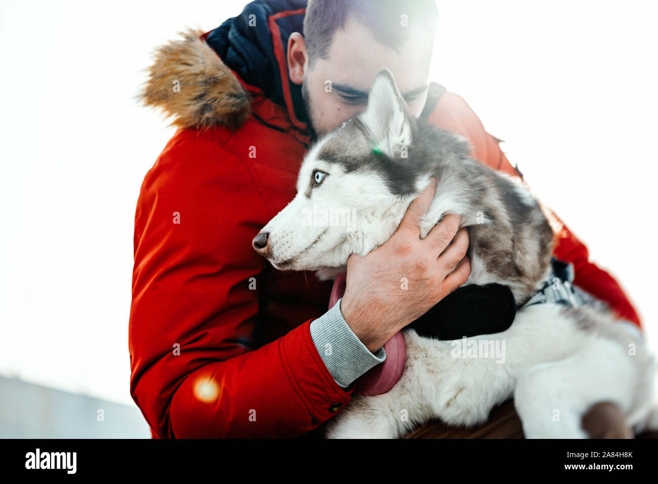Man hugging Siberian Husky dog on a walk in modern contemporary park on ...
