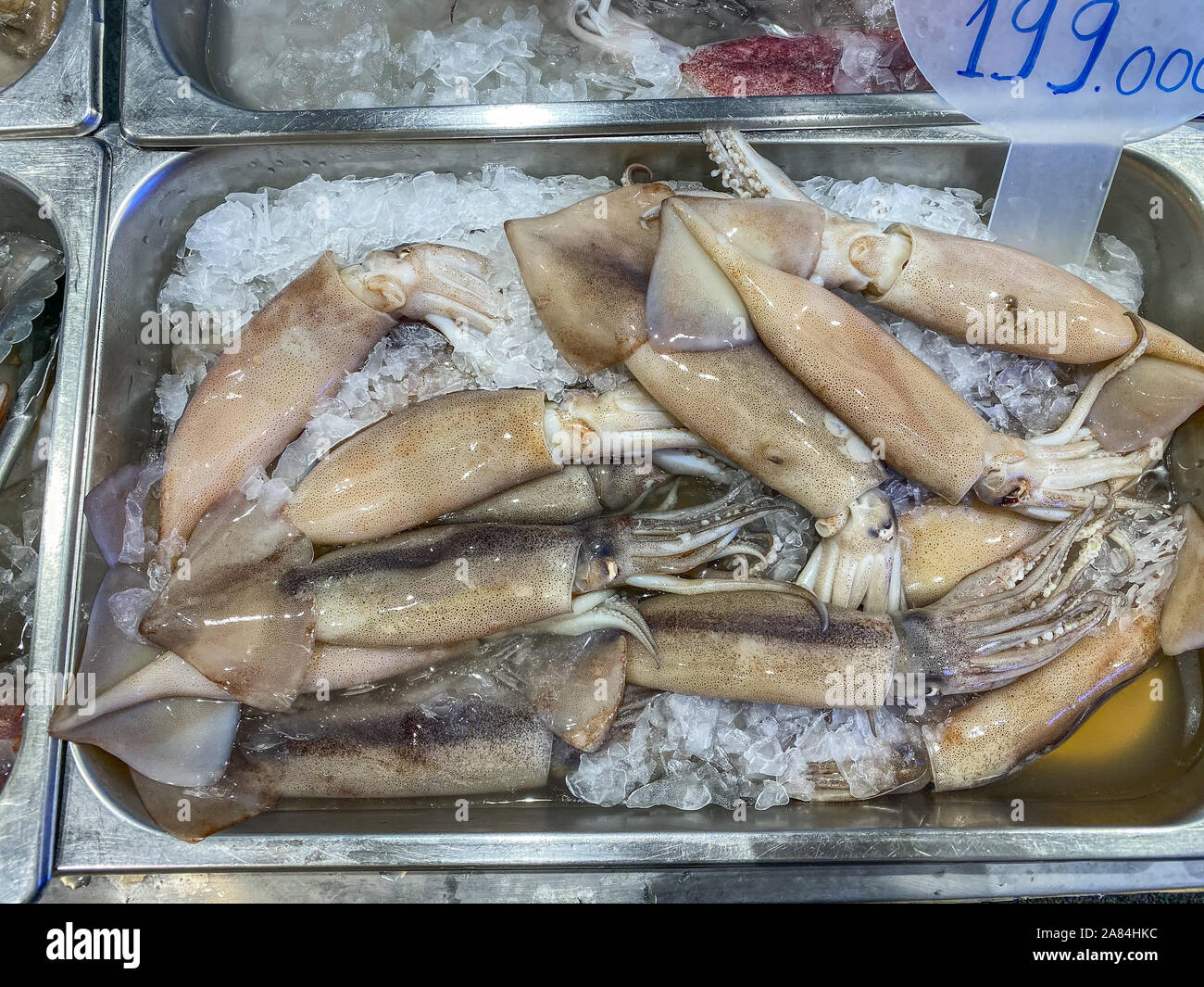 Frozen squid display hi-res stock photography and images - Alamy