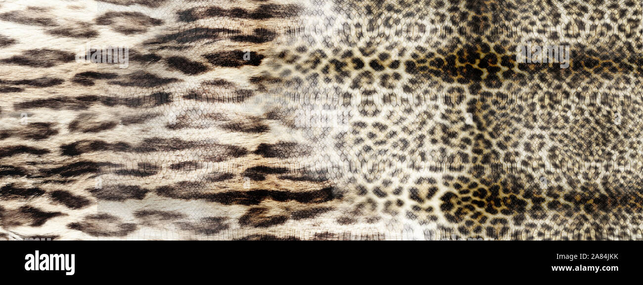 Leopard Pattern. Leopard Print. Leopard Texture. Leopard background ...