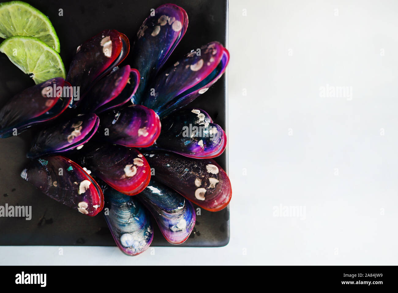 Healthy red exotic mollusk food on black platge, tasty appetizer at ...