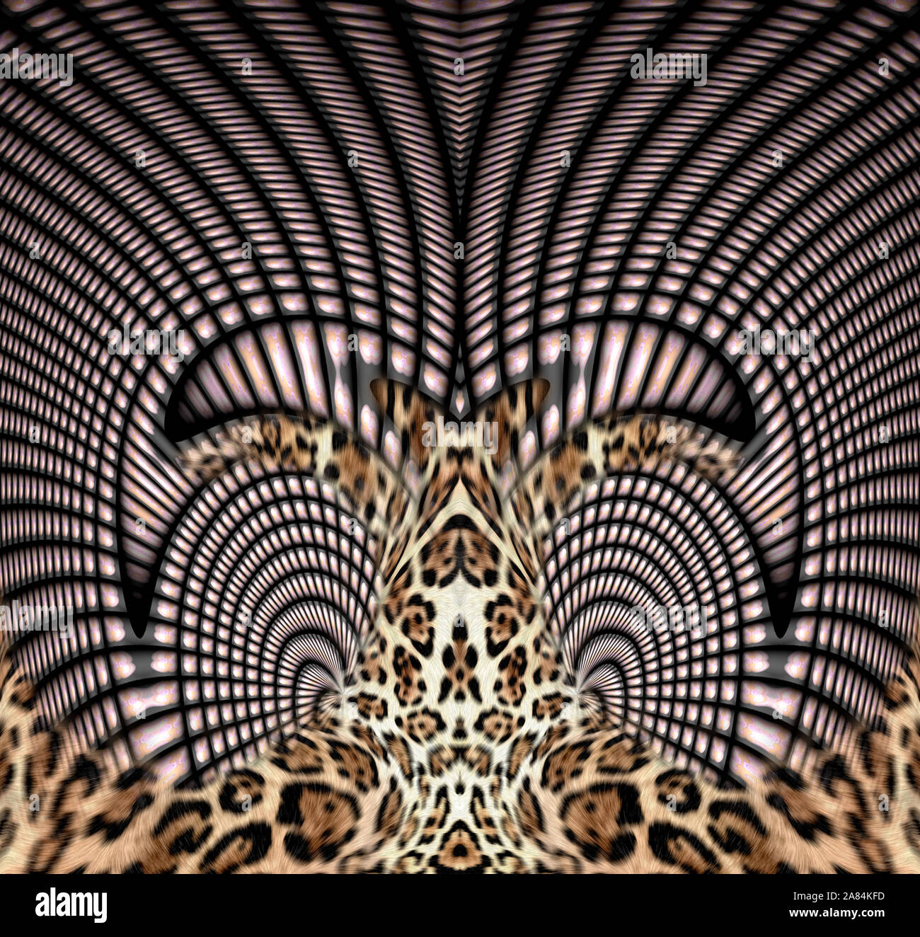 Leopard Pattern. Leopard Print. Leopard Texture. Leopard background ...