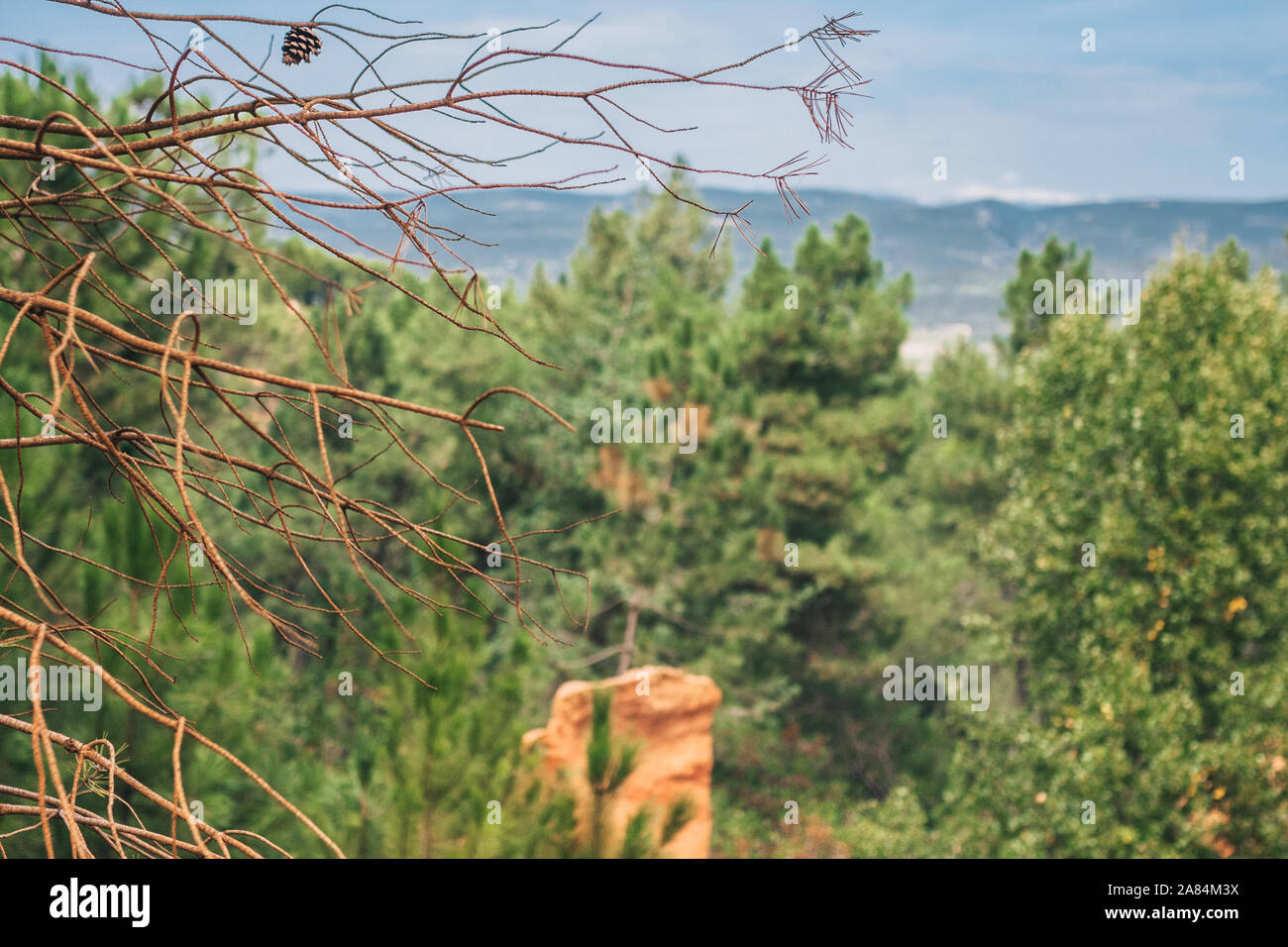 Vegetation of Provence in the Luberon - Roussillon Stock Photo - Alamy