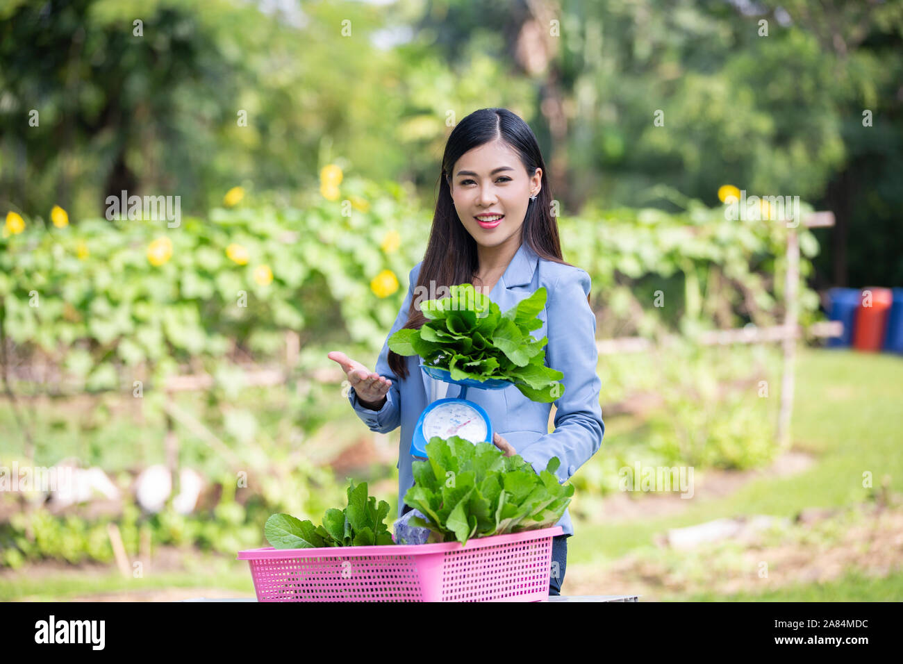Harvest vegetables person spring hi-res stock photography and images ...