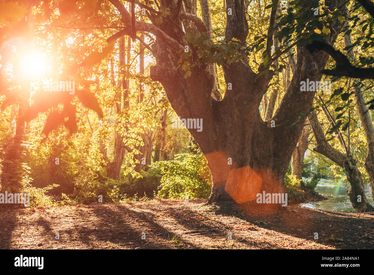 Beautiful evening views of the park in Fontaine-de-Vaucluse Stock Photo ...