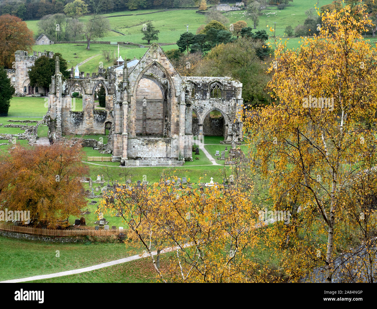 Ruins of the 12th century Augustinian monastery Bolton Priory in autumn ...