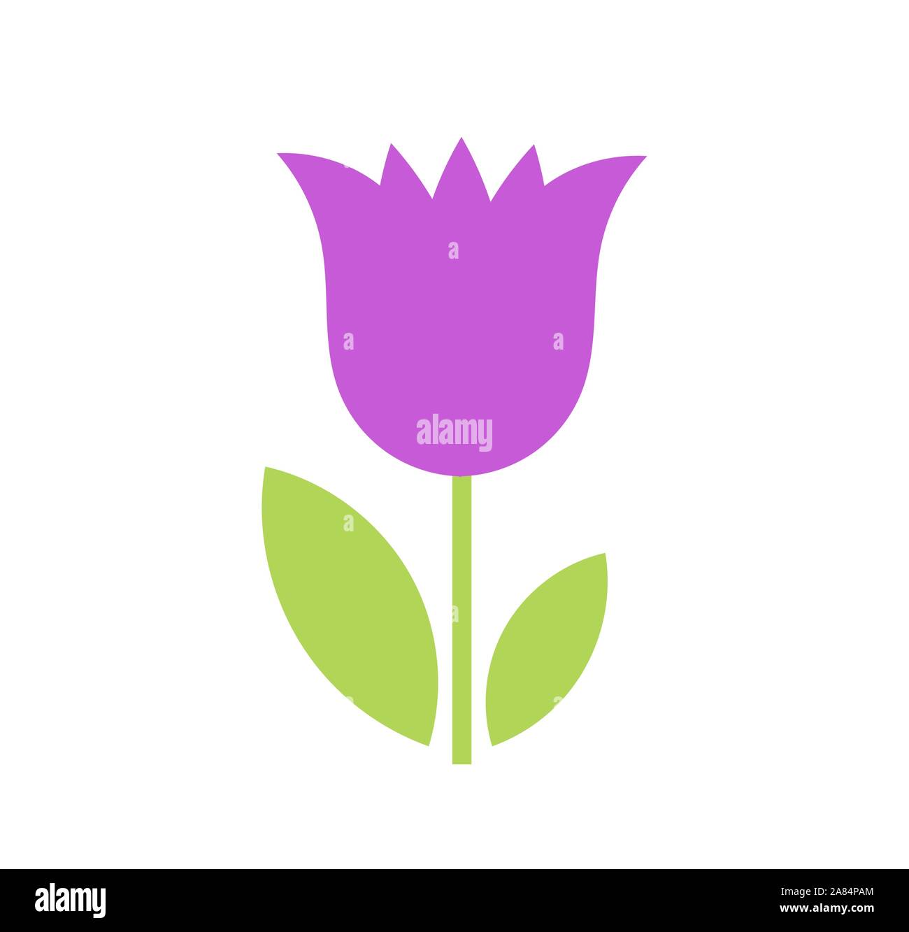 Purple bellflower flower icon. Vector illustration Stock Vector Image ...