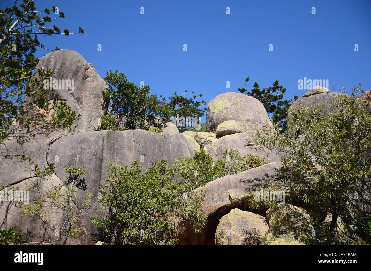 Australian indigenous people hi-res stock photography and images - Alamy
