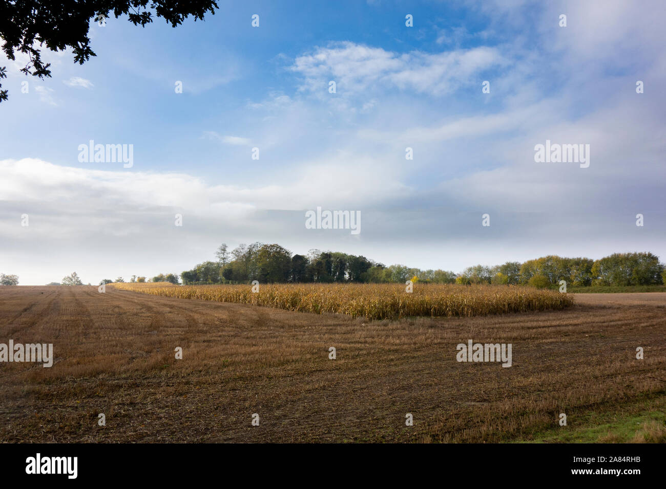 Game crop hi-res stock photography and images - Alamy