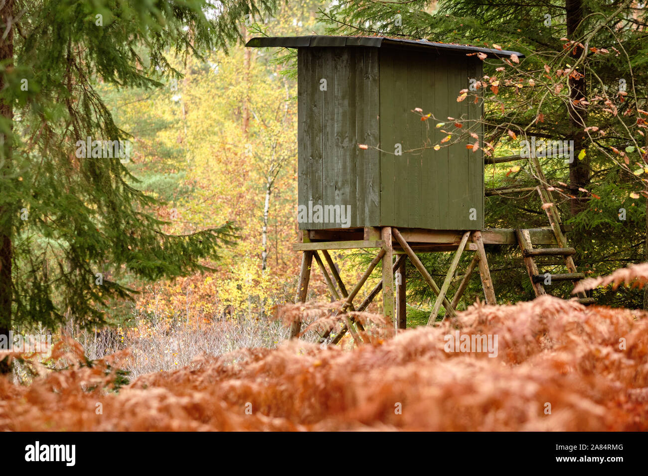 Hunter in tree stand high hi-res stock photography and images - Alamy
